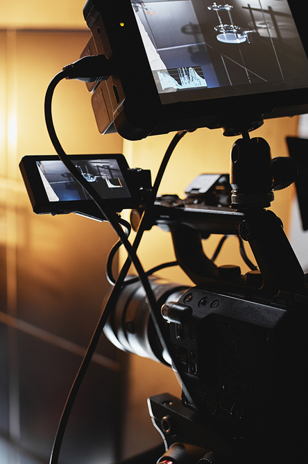 Adaptation of a Script and Directing | Directing Actors: Goodman ...